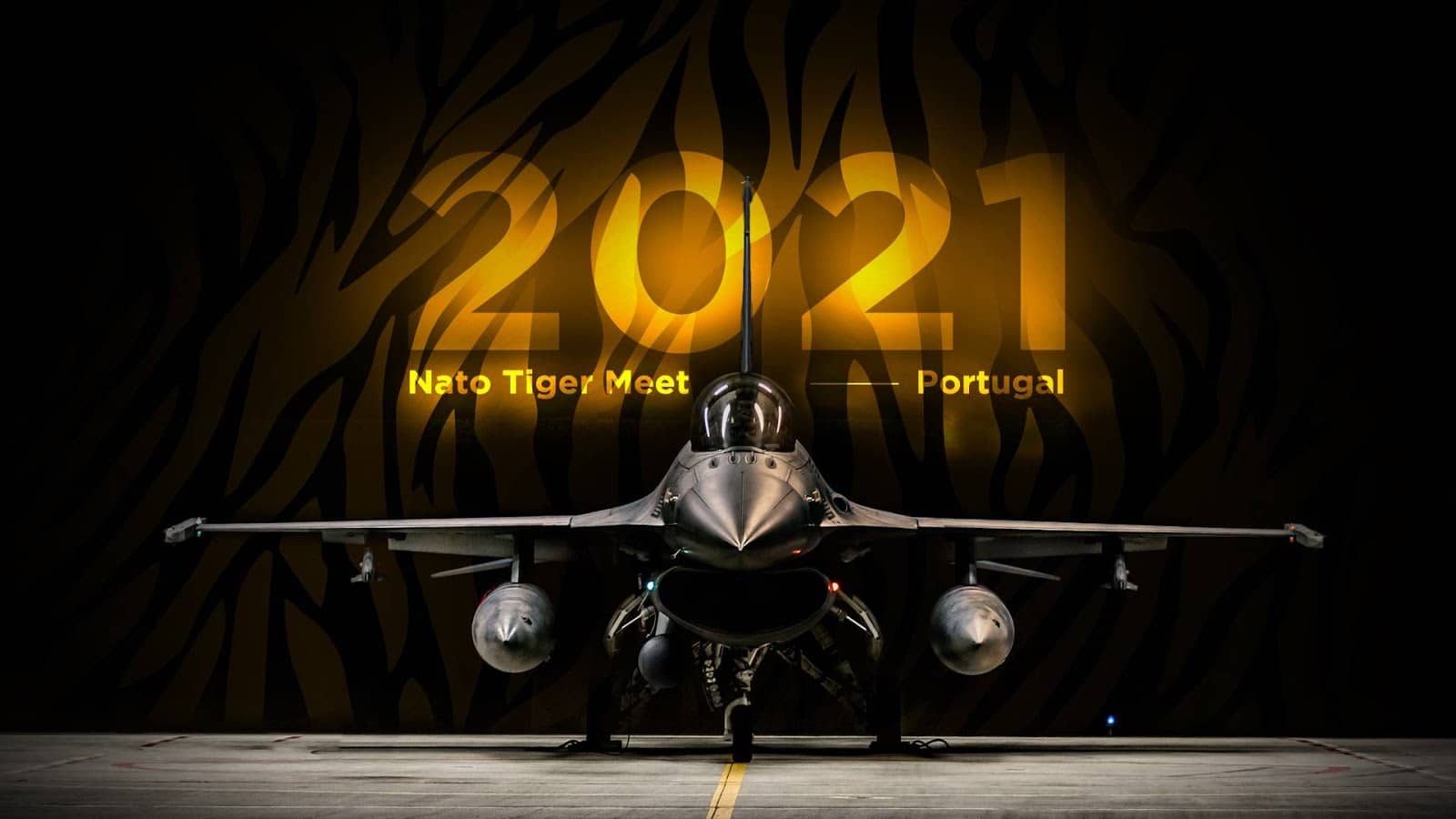 tiger meet arşivleri - Tolga Özbek
